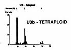 Image Cytometry Diagnostic Laboratory - Urocytology Image Cytometry